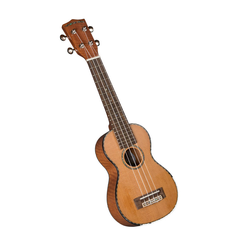 String Instruments | Salem Music, LLC